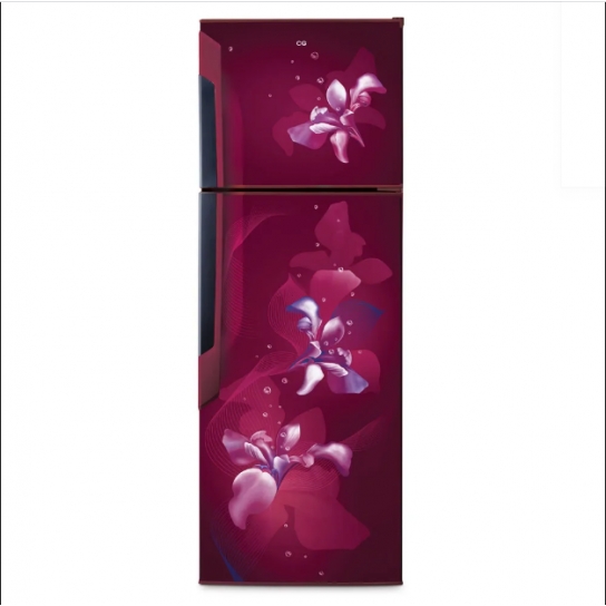 Sansui Single Door Floral Red Refrigerator 170 Ltrs SPC170RL in ...